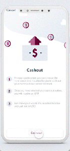 Send money to Lebanon from anywhere - Purpl